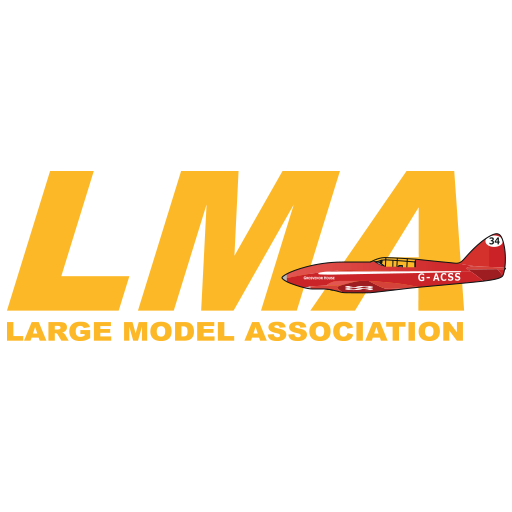 Information - Large Model Association